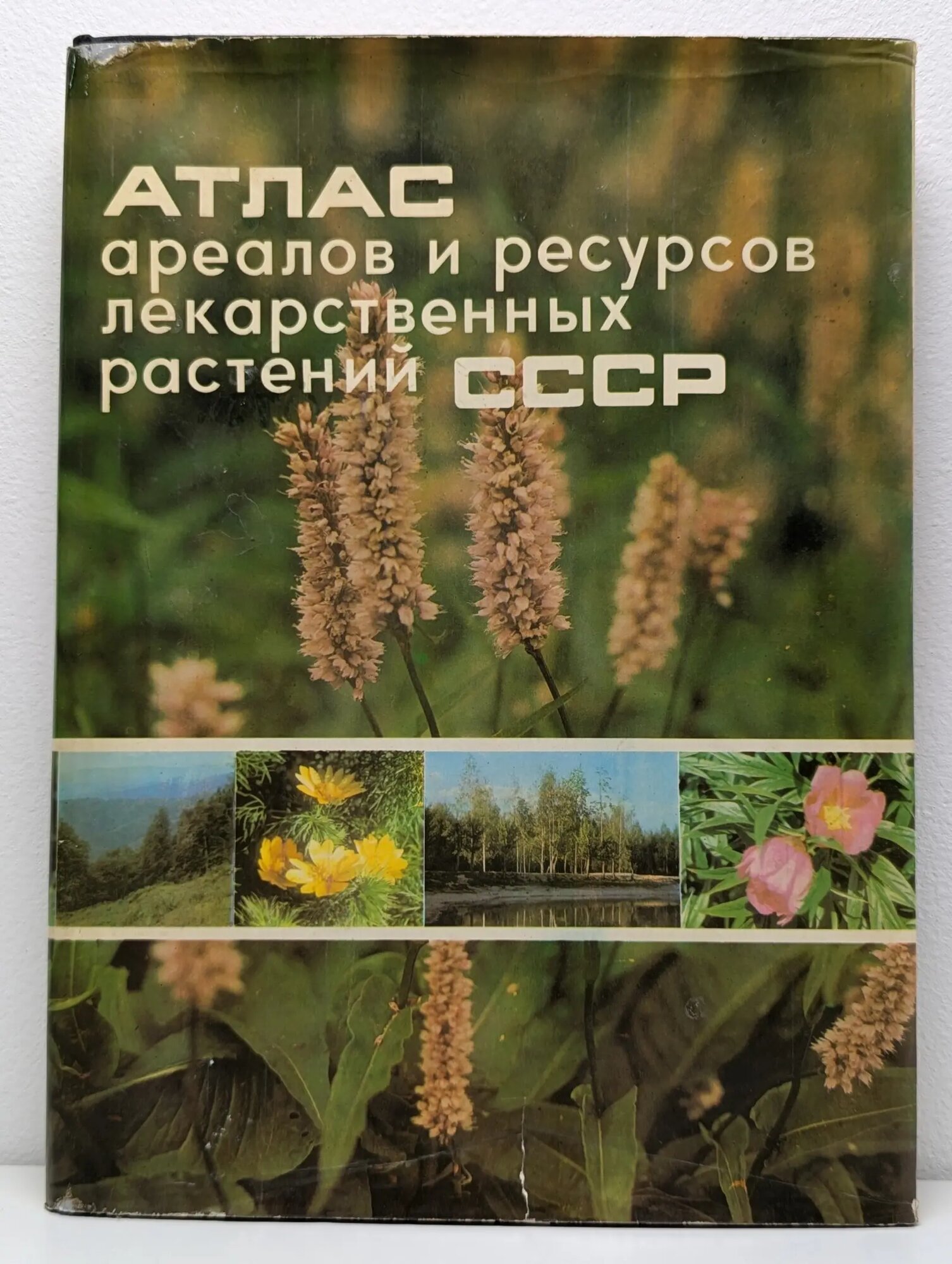 Атлас ареалов и ресурсов лекарственных растений СССР Чиков Л. С. (ред.) 1983