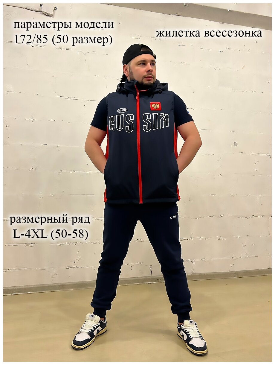 Купить Жилетка мужская с капюшоном Россия Безрукавка за 3250р. с доставкой