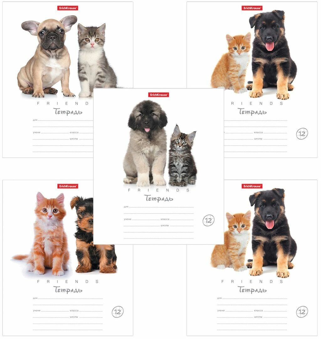 Тетрадь Erich Krause 12 листов, клетка, мелованная картонная обложка, Дружба (42545)