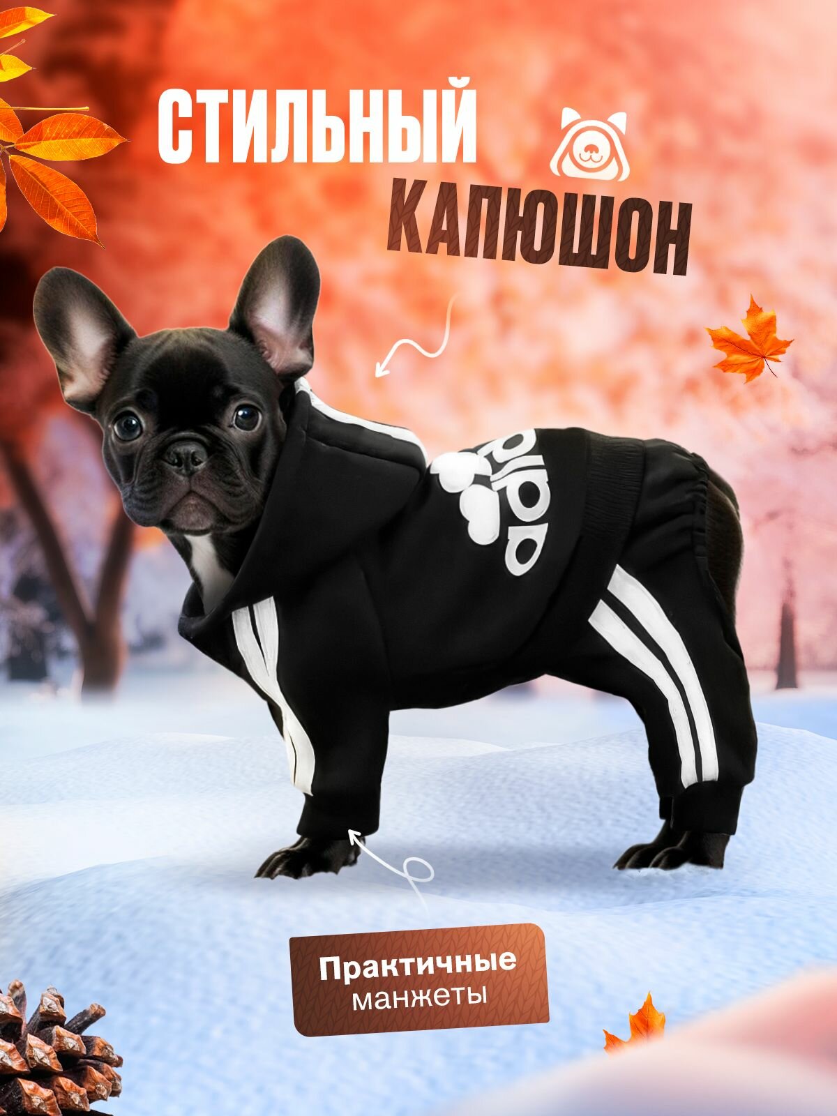 Одежда для животных — фото 1