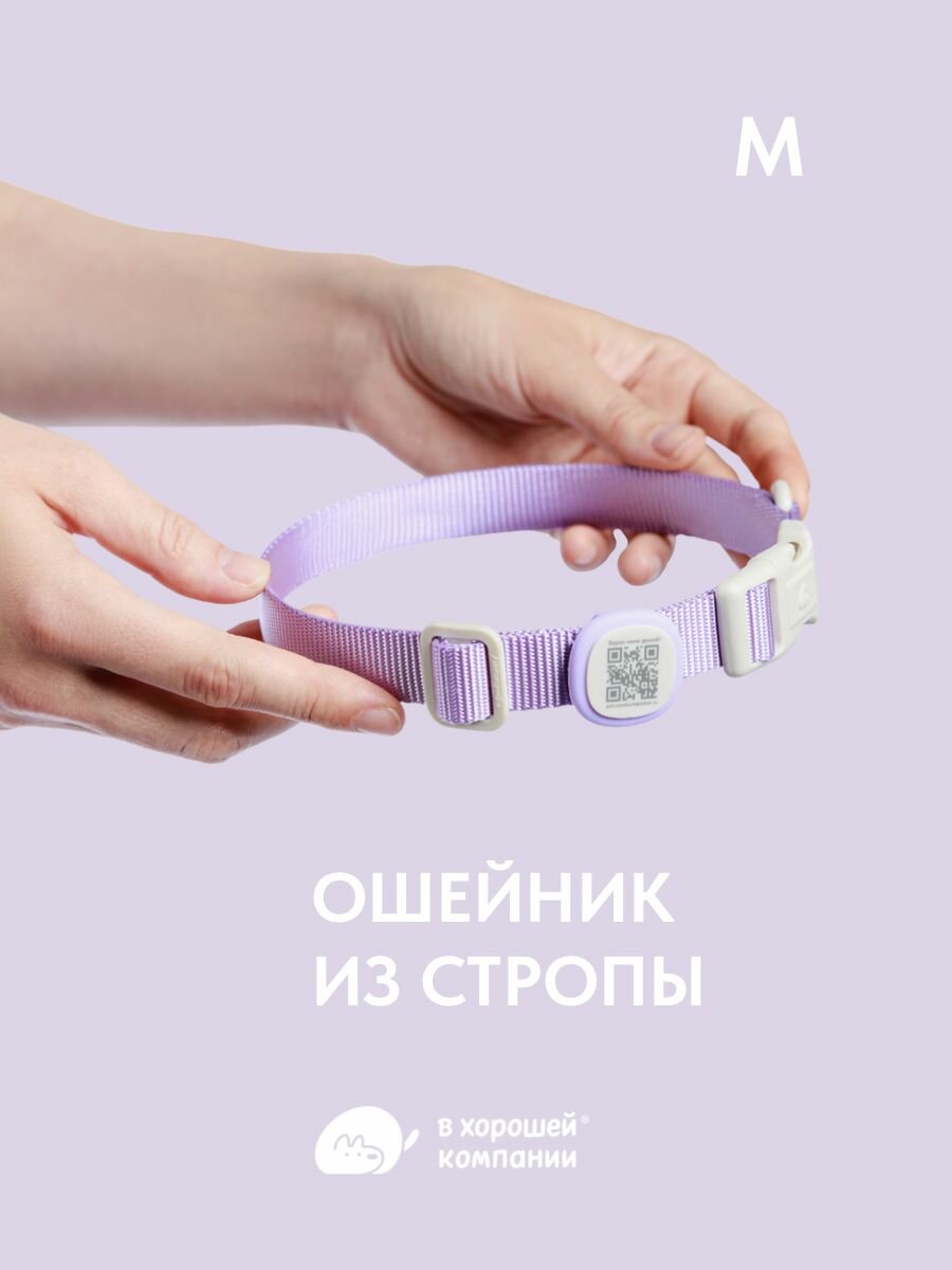 Ошейник с адресником для собак средних пород IN GOOD COMPANY (М / Фиолетово / стропа)