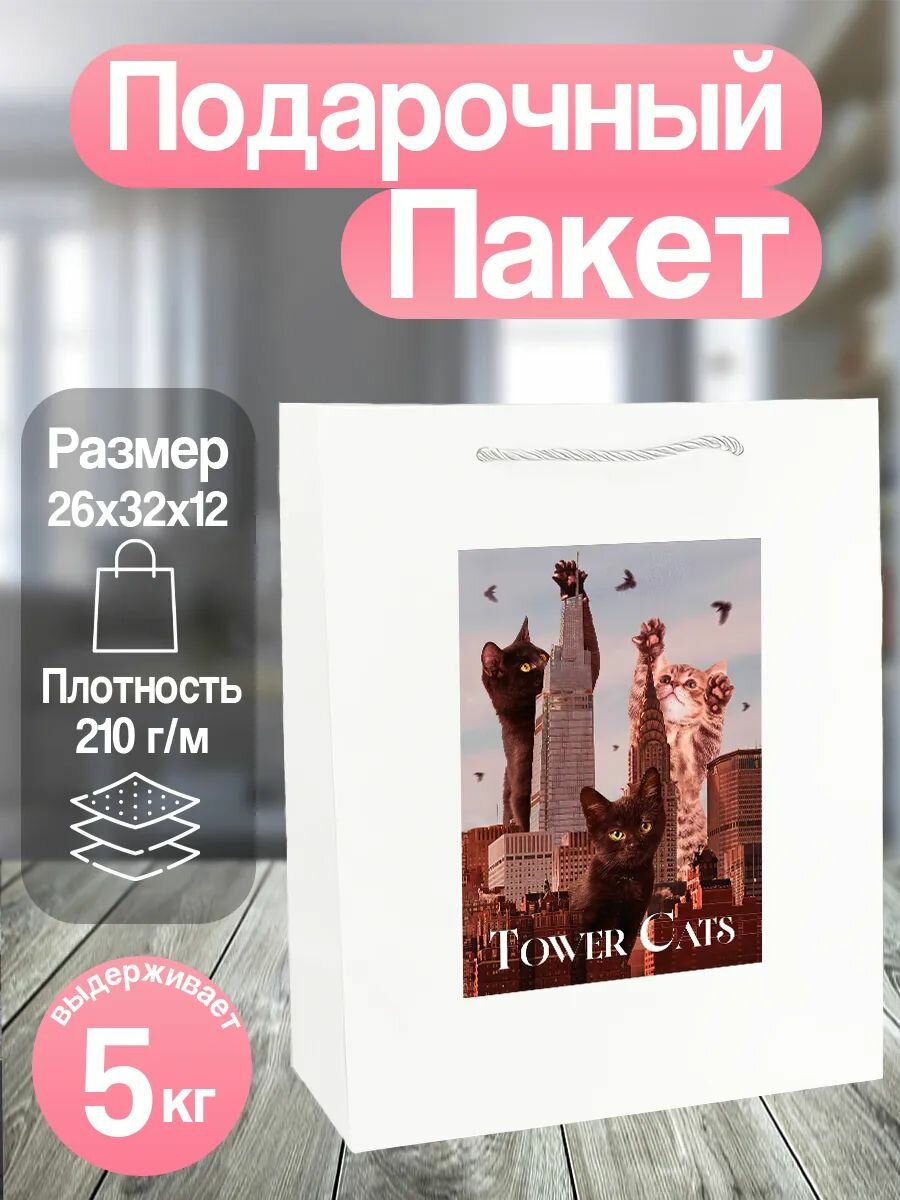 Пакет подарочный y2k pinterest, упаковка для подарка, 26х31 см
