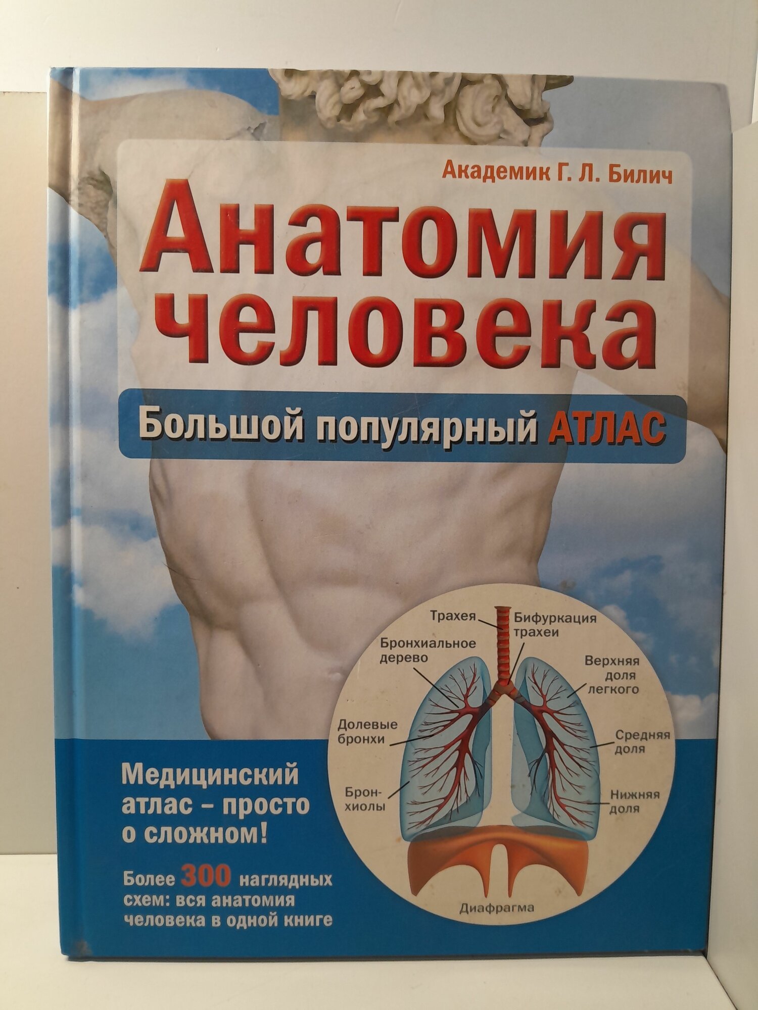 Анатомия человека: большой популярный атлас / Билич Габриэль