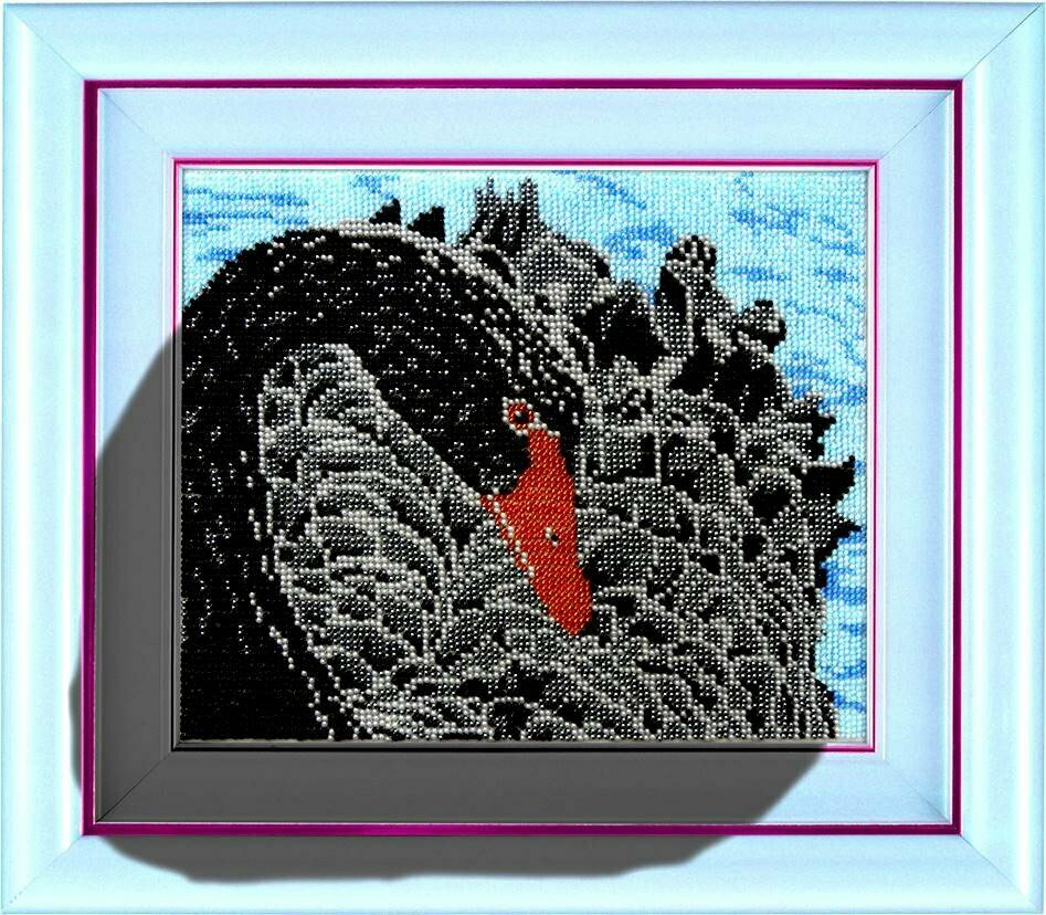 Черный лебедь B-39(В-39)