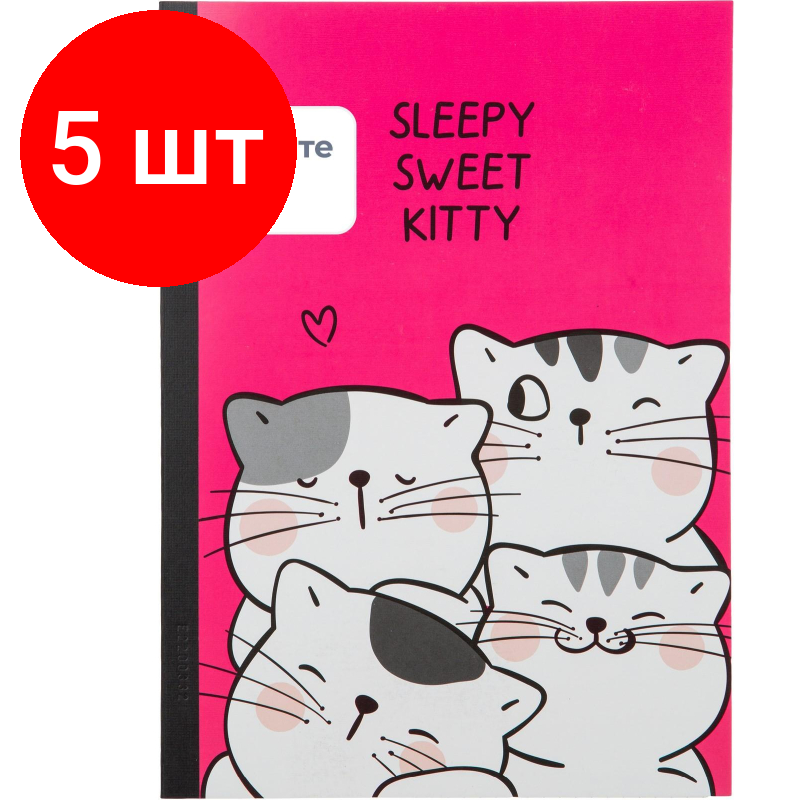 Комплект 5 штук, Тетрадь общая So Many Cats 60л, B5, блок бел, клетка, пл. обл, в ассортимент