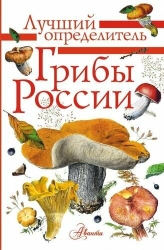 Книга АСТ Лучший определитель, Кривошеев С. В. Грибы России, 2023 г, 96 стр