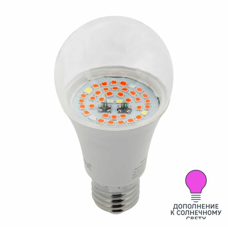 Фитолампа светодиодная для растений Эра 14 Вт E27 груша красно-синий спектр розовый свет