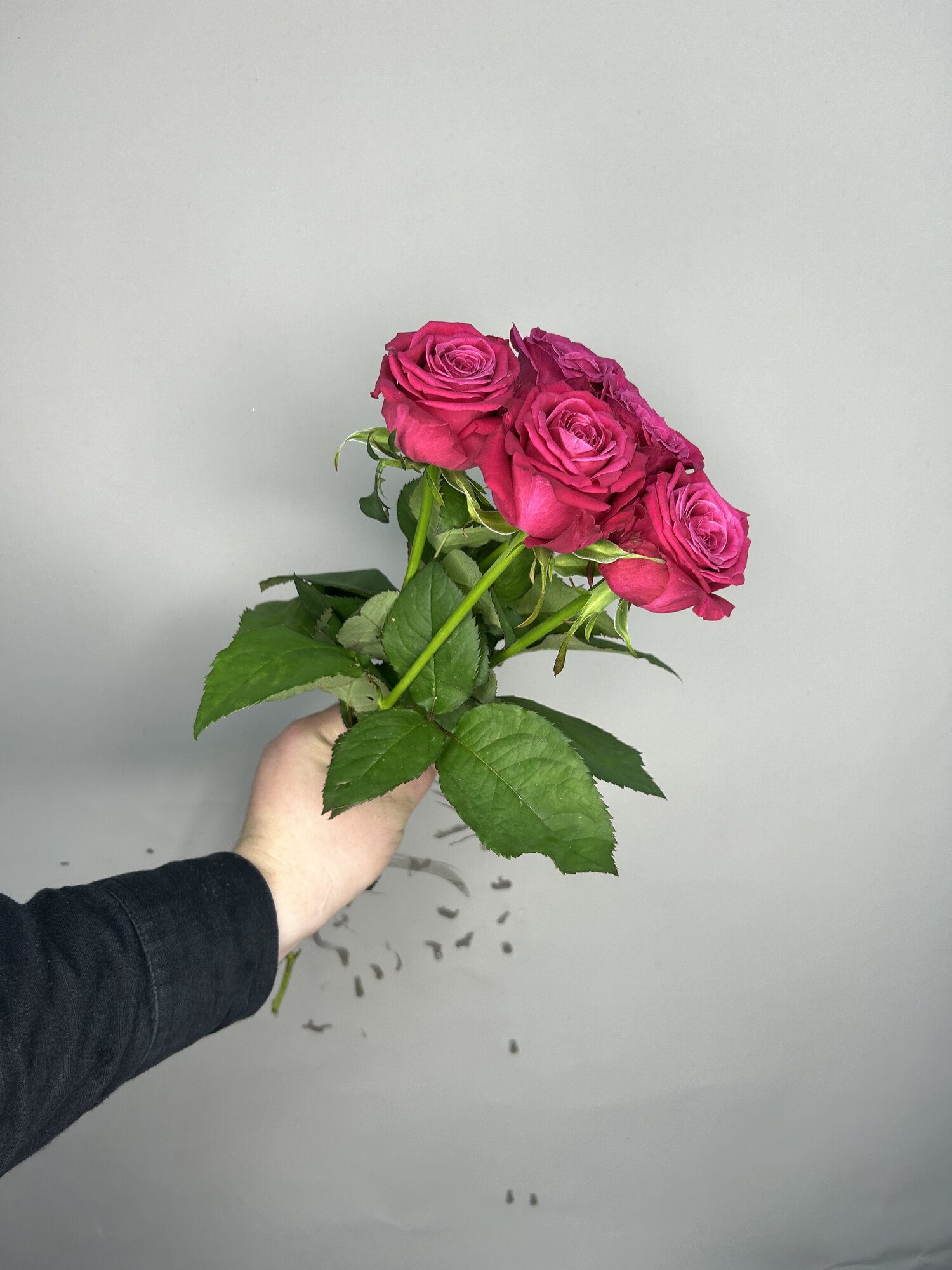 5 малиновых роз под ленту