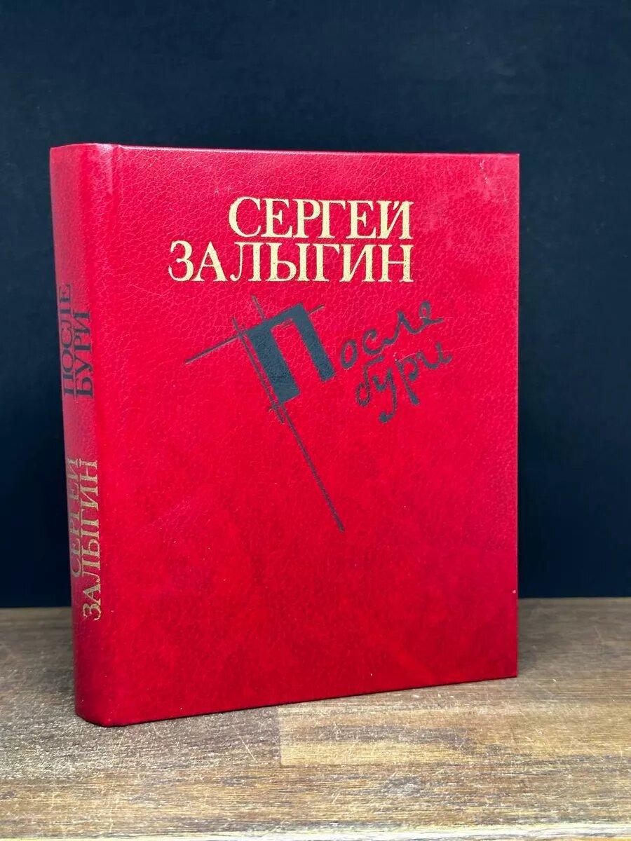 Книга. После бури. Книга 1. 1982 (2038419783649)