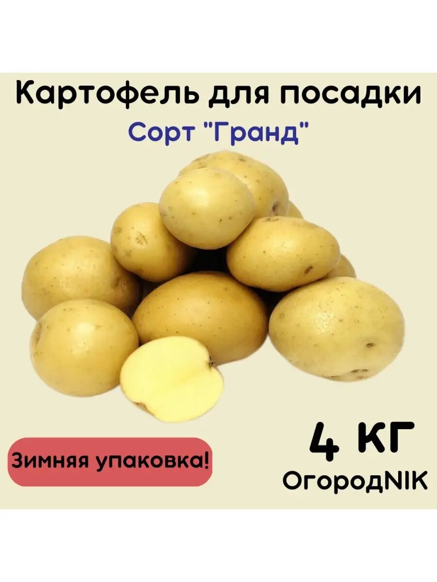 ОгородNIK Семена картофеля "Гранд", среднеспелые, лежкие, 4 кг