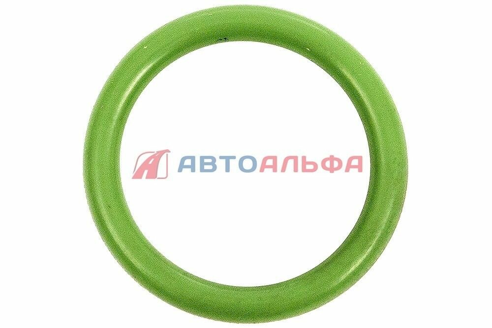 Кольцо 025-031-36 (ФСИ 65)