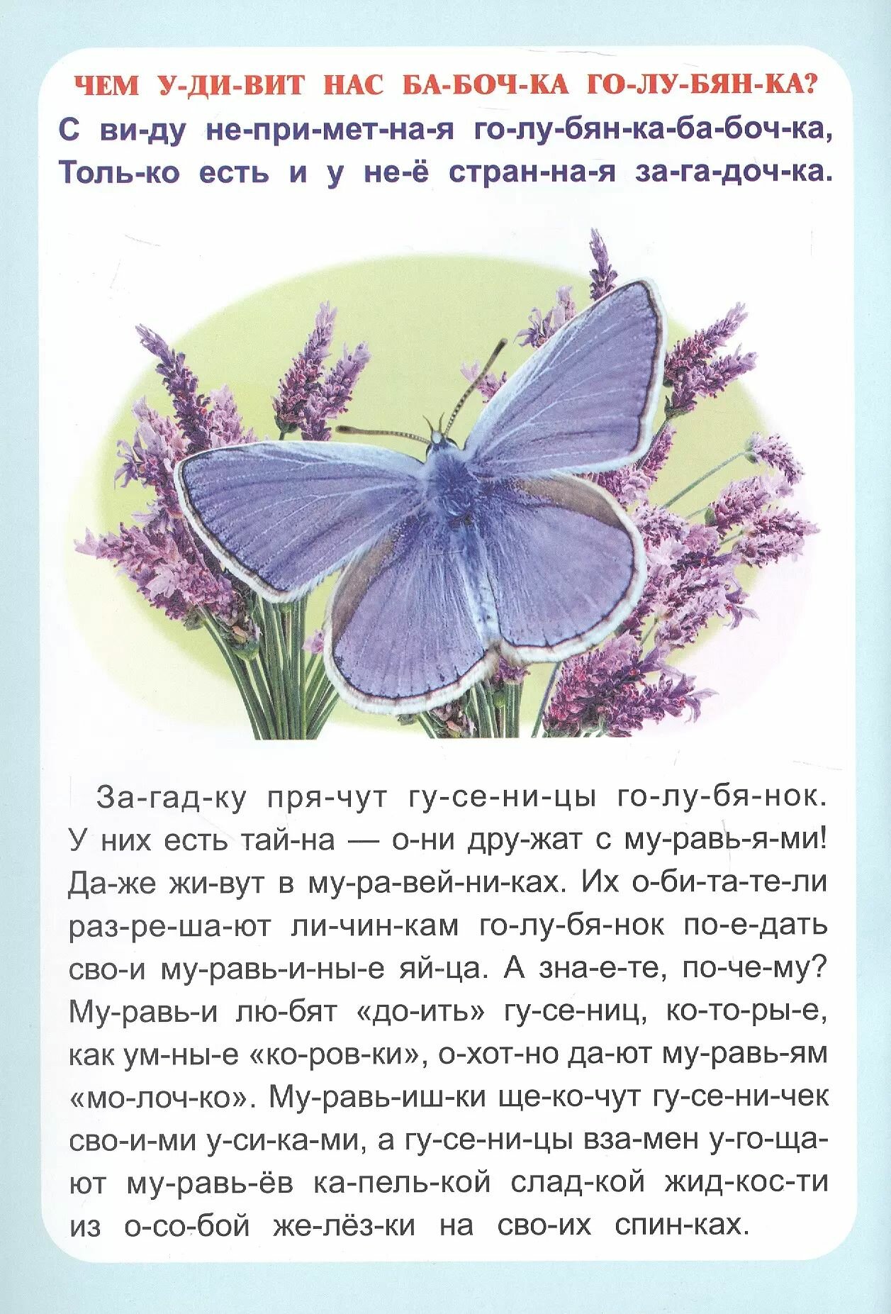 Секреты природы. Рассказы о букашках. Слогочиталка