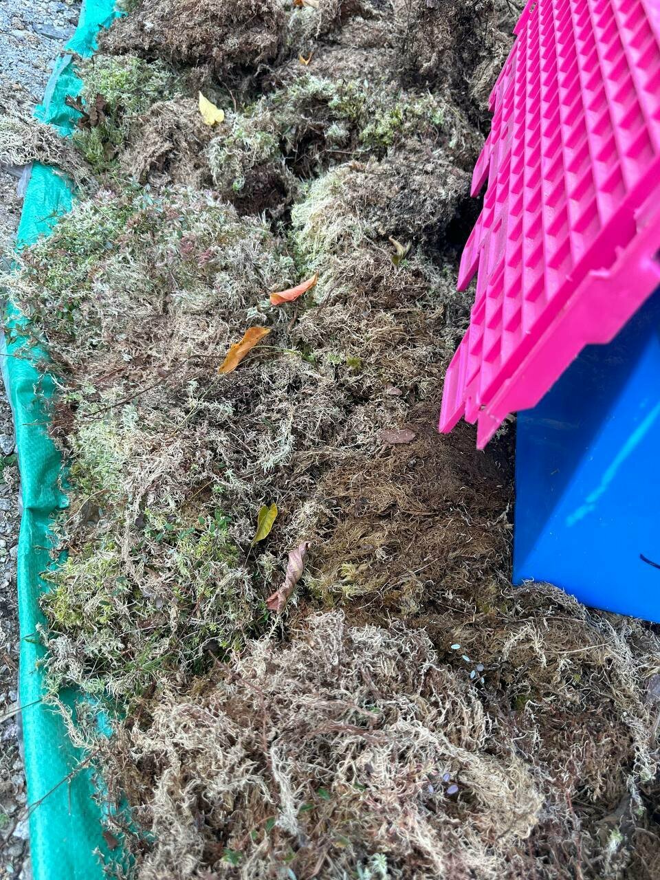 Сфагнум мох 25л для строительства свежий год Эко качество