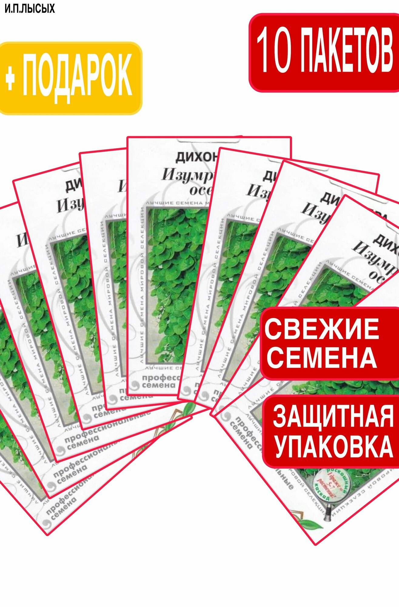 Семена Дихондра "Изумрудная осень"