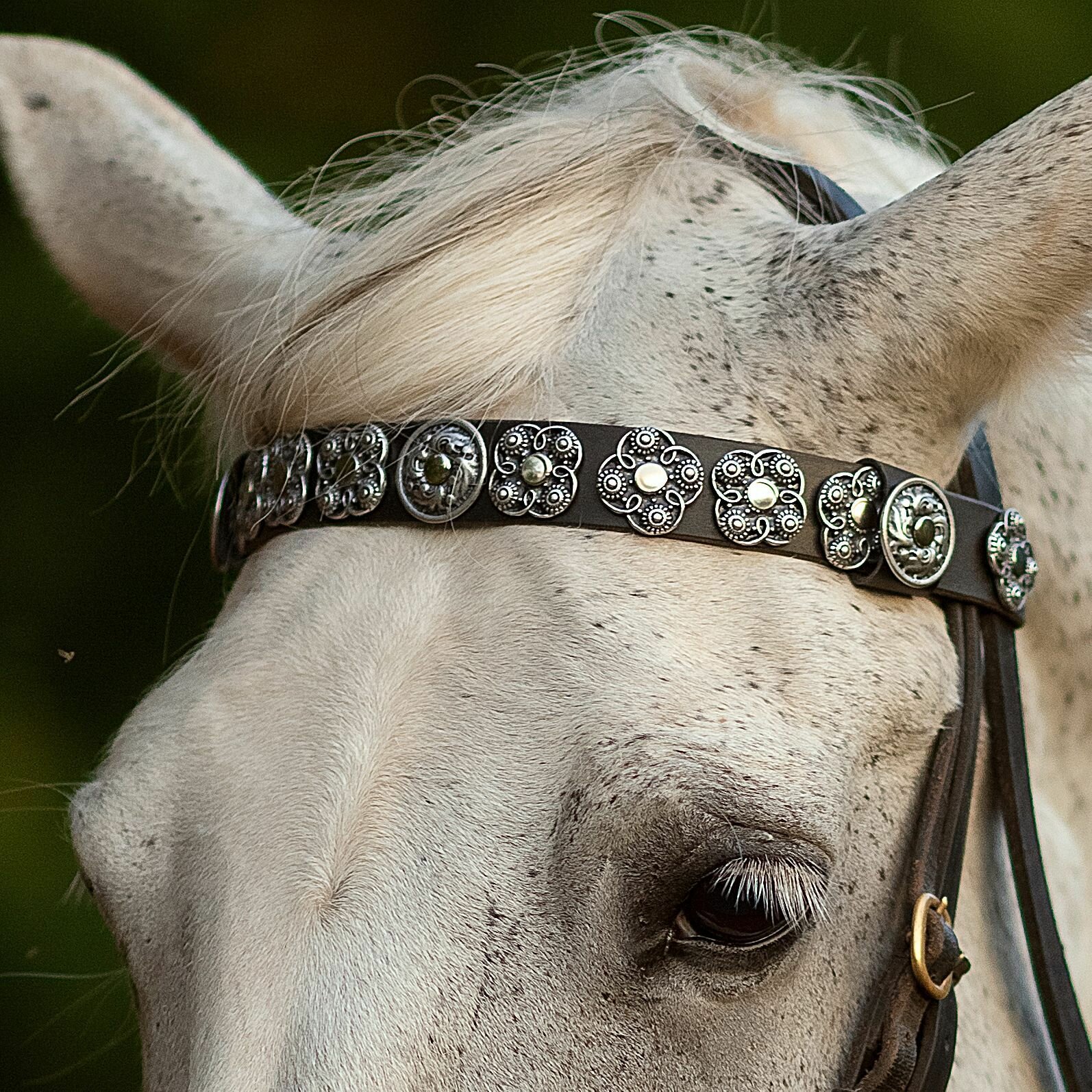 Налобник для крупного коня с металлическими украшениями. Кожаный налобный ремень черный.