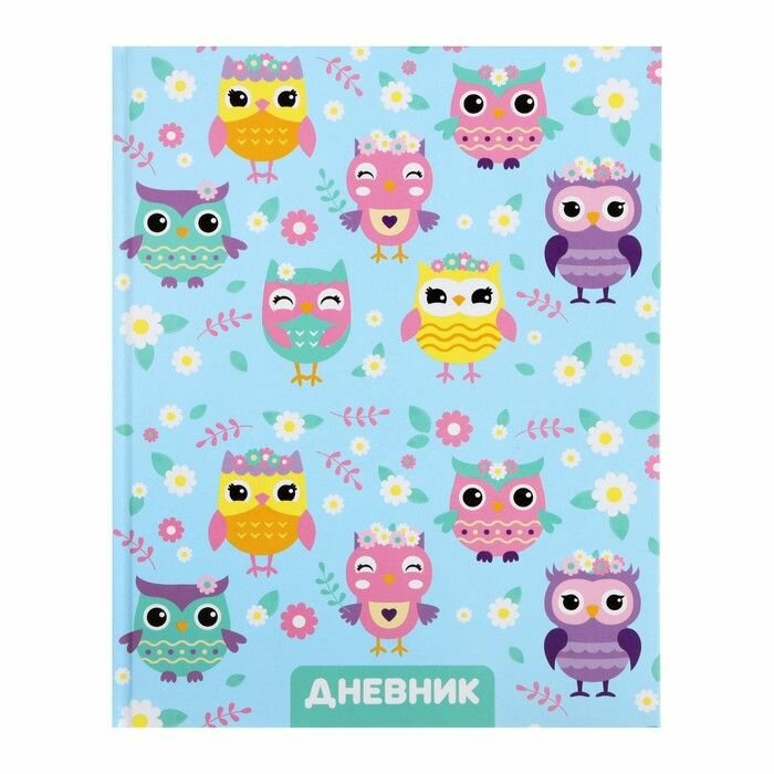 Дневник Calligrata "Совы", Паттерн, 1-4 класс, твердая обложка 7БЦ, глянцевая ламинация, 48 листов