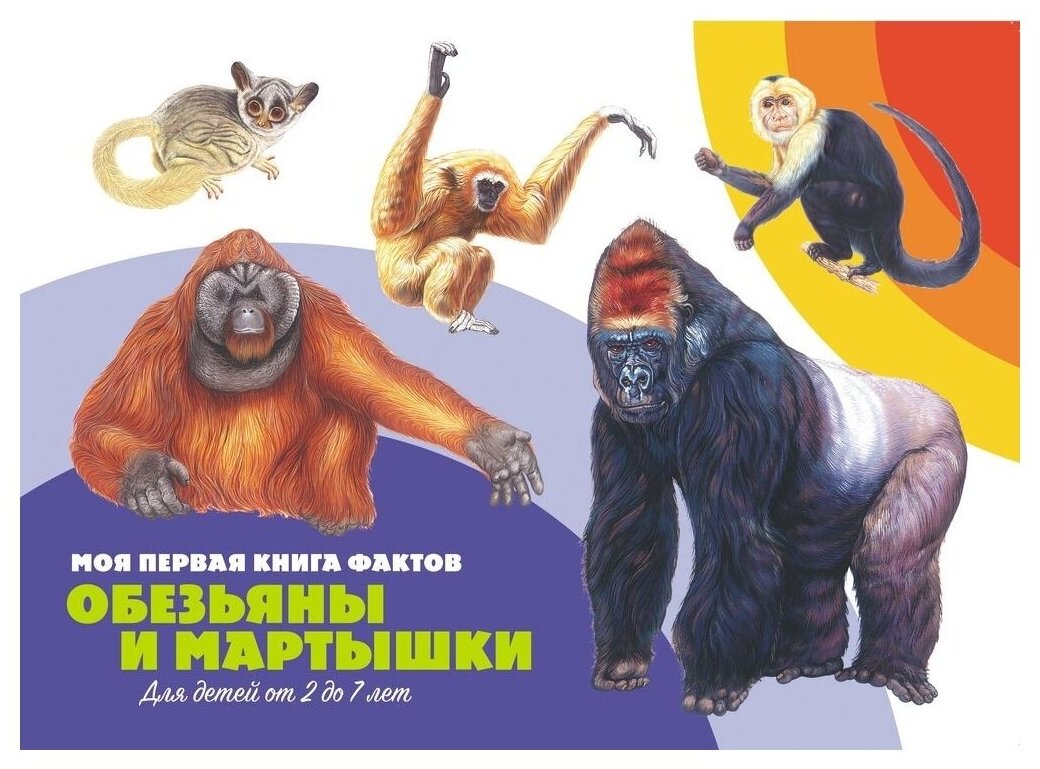 Моя первая книга фактов. Обезьяны и мартышки. Развивающая книга