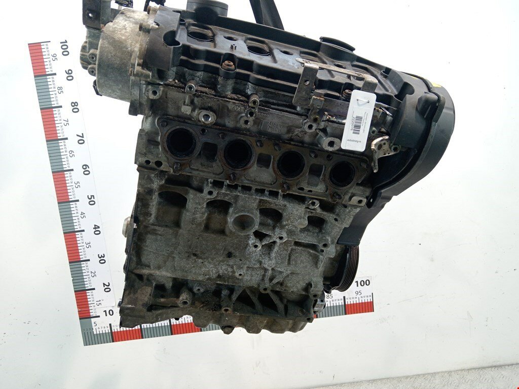 Двигатель (ДВС) Volkswagen Golf 5 BLX арт. 2220076