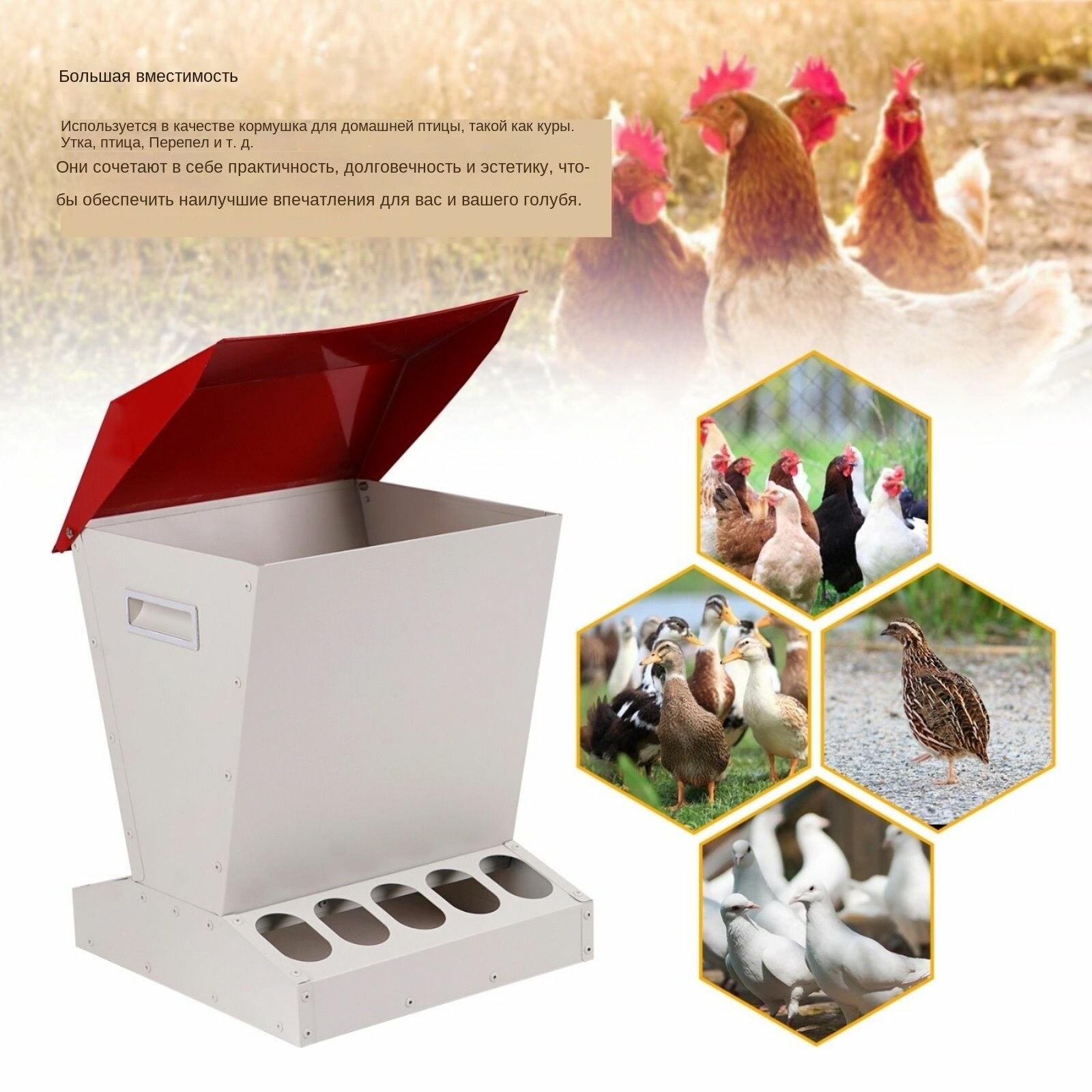 Бункерная кормушка для кур, Нержавеющая сталь, Курица, утка, гусь, домашняя птица