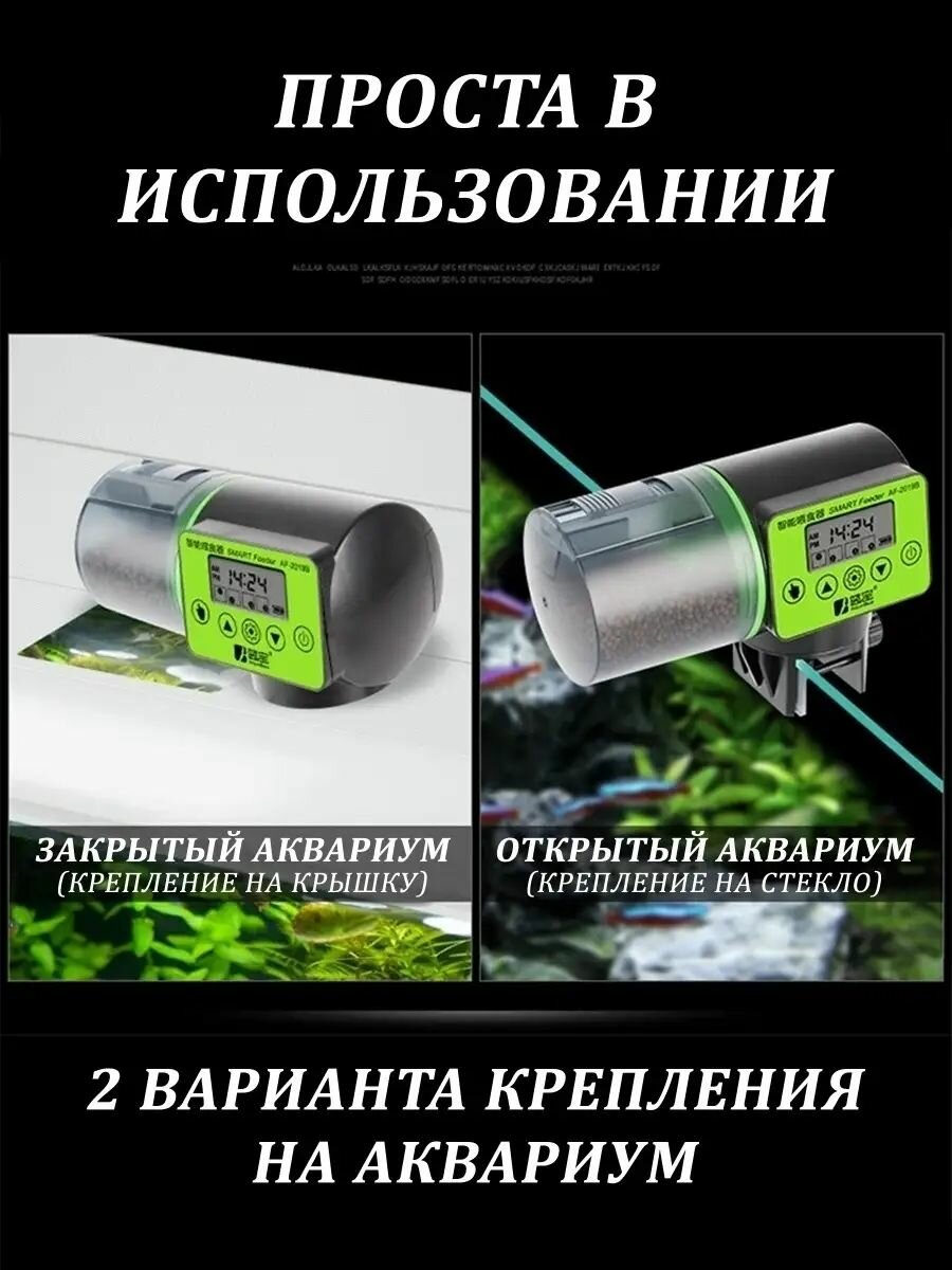 Автокормушка