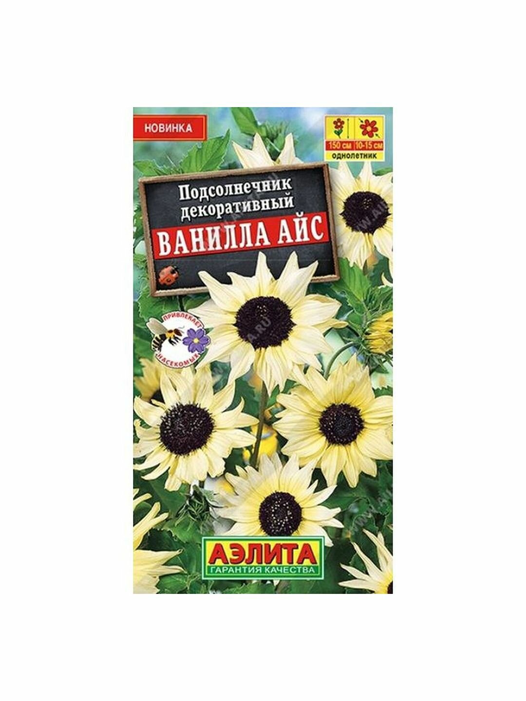 Семена Подсолнечник декоративный Ванилла айс, однолетник, Аэлита, 1 пачка - 0.1г семян