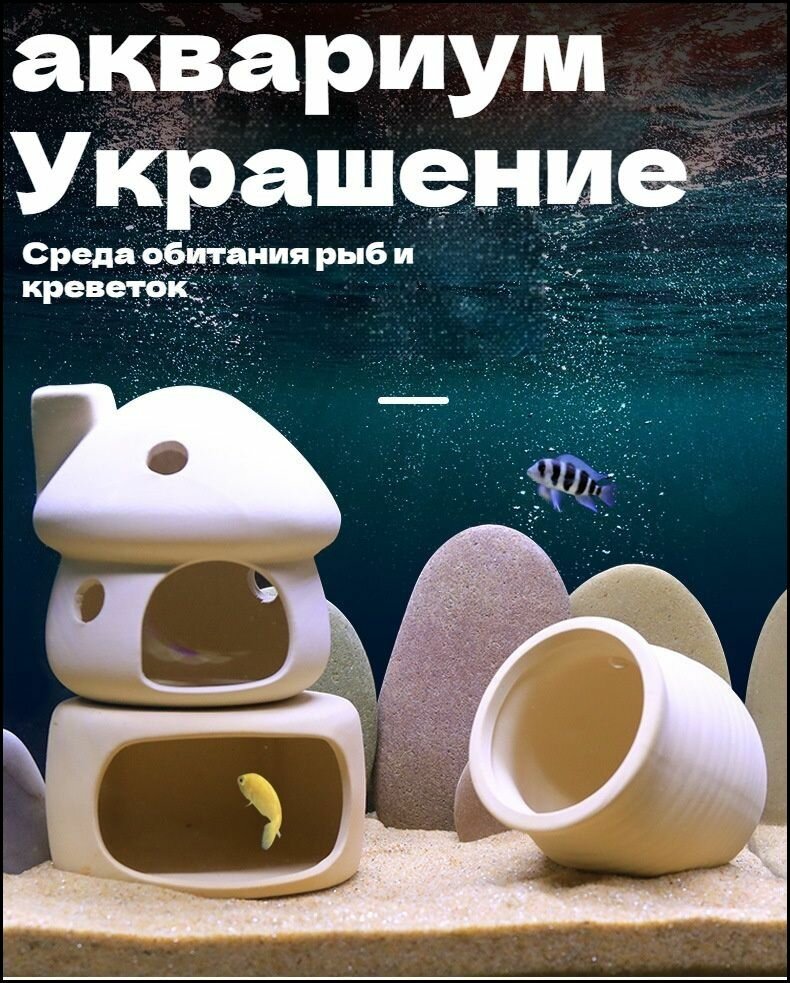 Украшение аквариума, среда обитания рыб и креветок