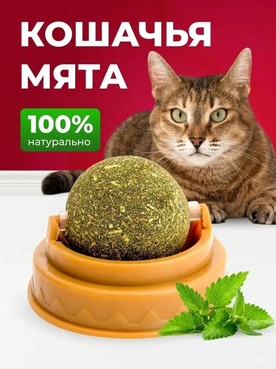 Кошачья мята игрушка для кошек - вращающийся мятный шарик на стену,1, коричневый