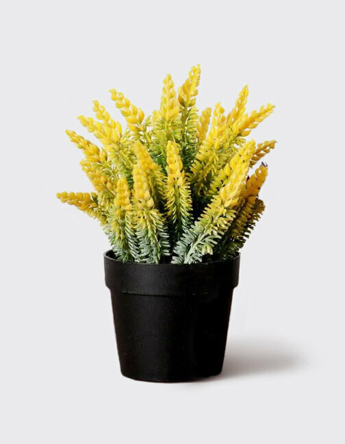 Бонсай в горшке "Лаванда", 9x18 см, желтая