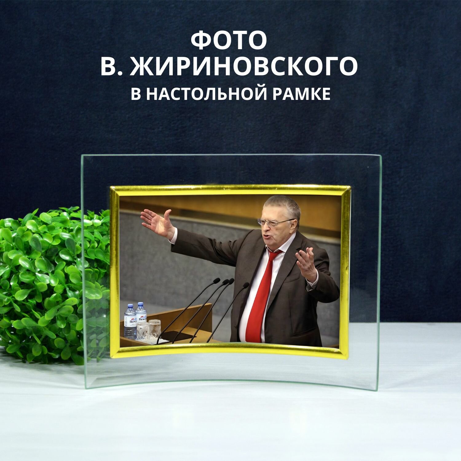 Портрет Жириновского настольный в рамке 10х15 для кабинета, библиотеки, офиса, настольный сувенир