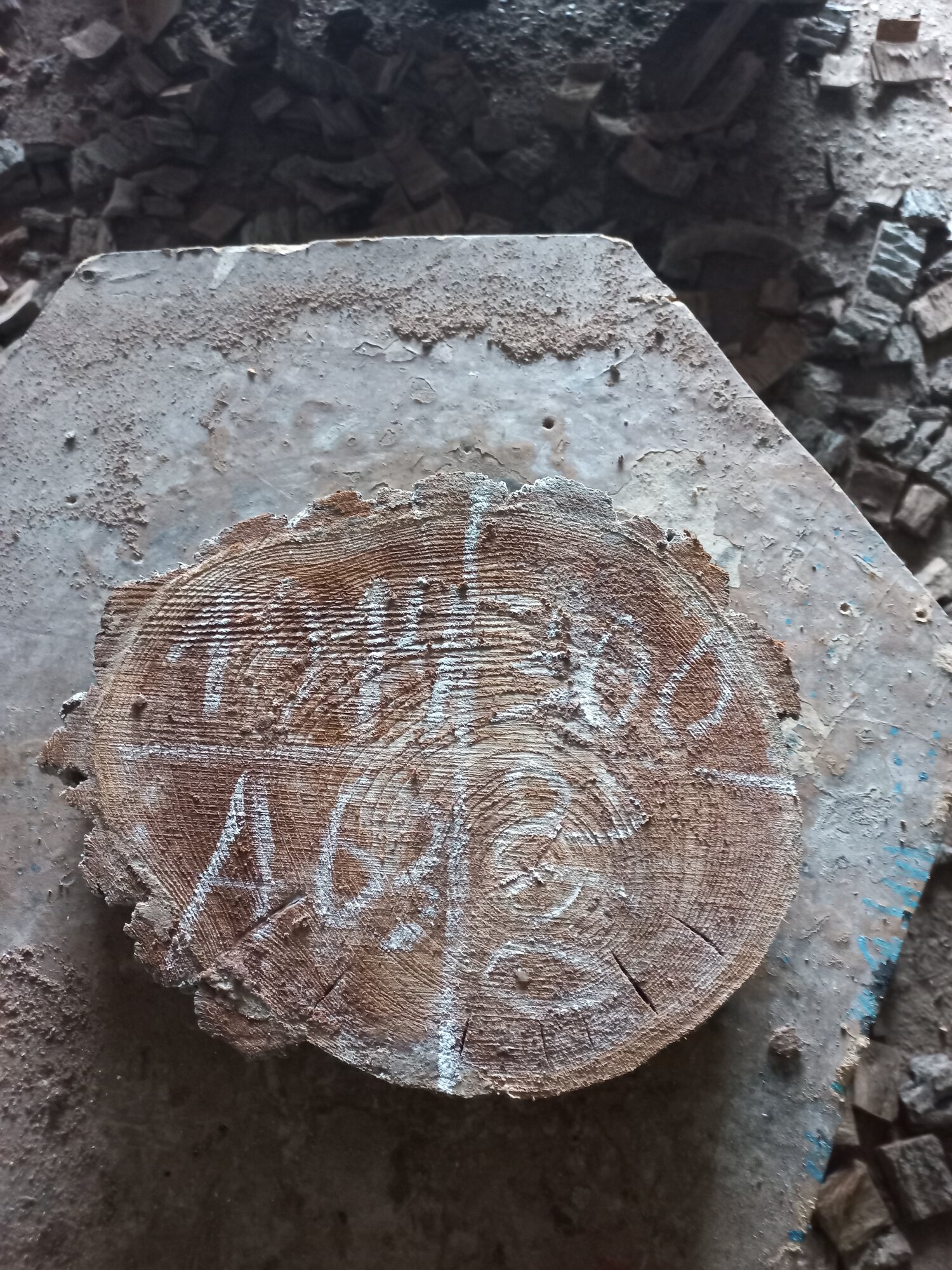 Спил торцевой из массива дерева карагач №1914, 6х30х26 см, ДОКЛЕС