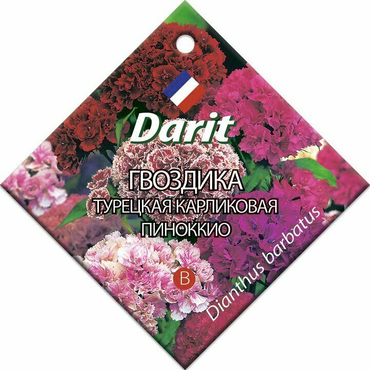 Семена гвоздики Darit "Пиноккио", турецкая, карликовая, 20-25см, 0,3 г