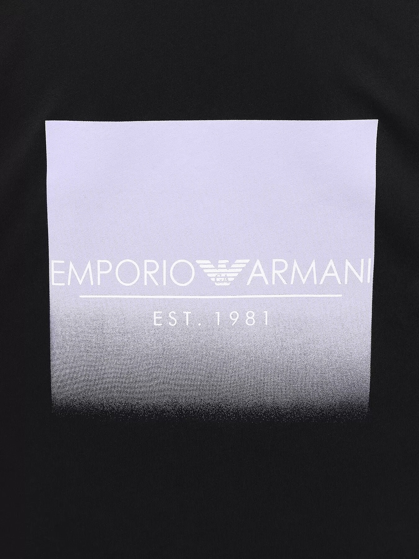Футболка EMPORIO ARMANI, размер M, черный — фото 1