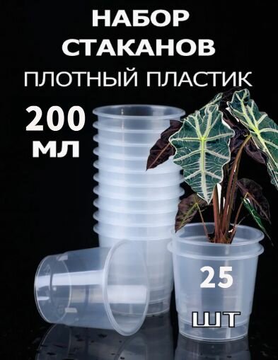 Кашпо 0.2 л, 25 шт, цвет белый, прозрачный набор мини