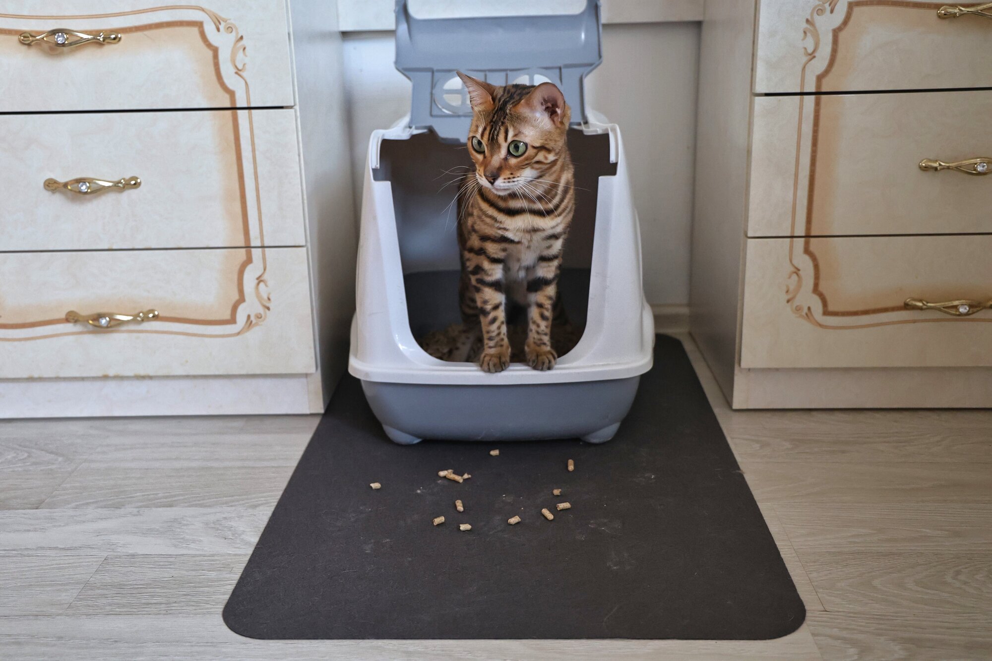 Коврик для животных под лоток. Коврик под кошачий лоток. Влаговпитывающий, противоскользящий, непромокаемый, 60х80см, 1 шт, (арт 170)