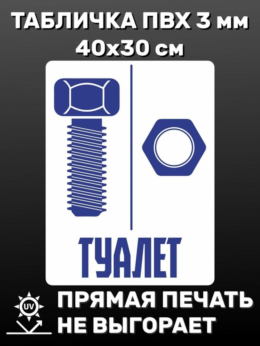 Табличка информационная Туалет 40х30 см