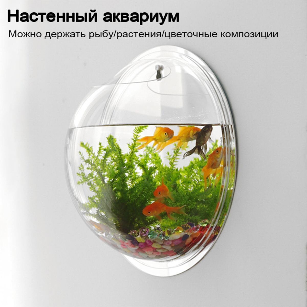 Украшение для стен настенный экологический декоративный аквариум рыб (23*23 см) -зеркальная поверхность