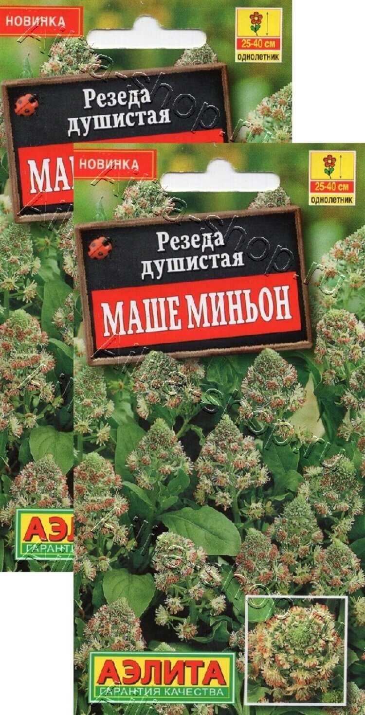 Семена Резеда душистая Маше миньон (0,1 г), 2 пакета, Агрофирма Аэлита