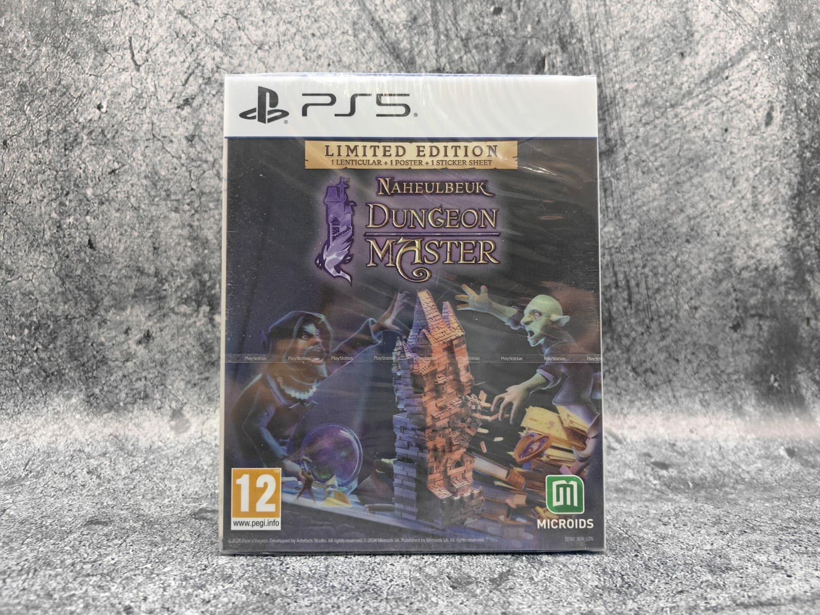 Игра Naheulbeuk: Dungeon Master. Limited Edition (русские субтитры) Диск для PS5