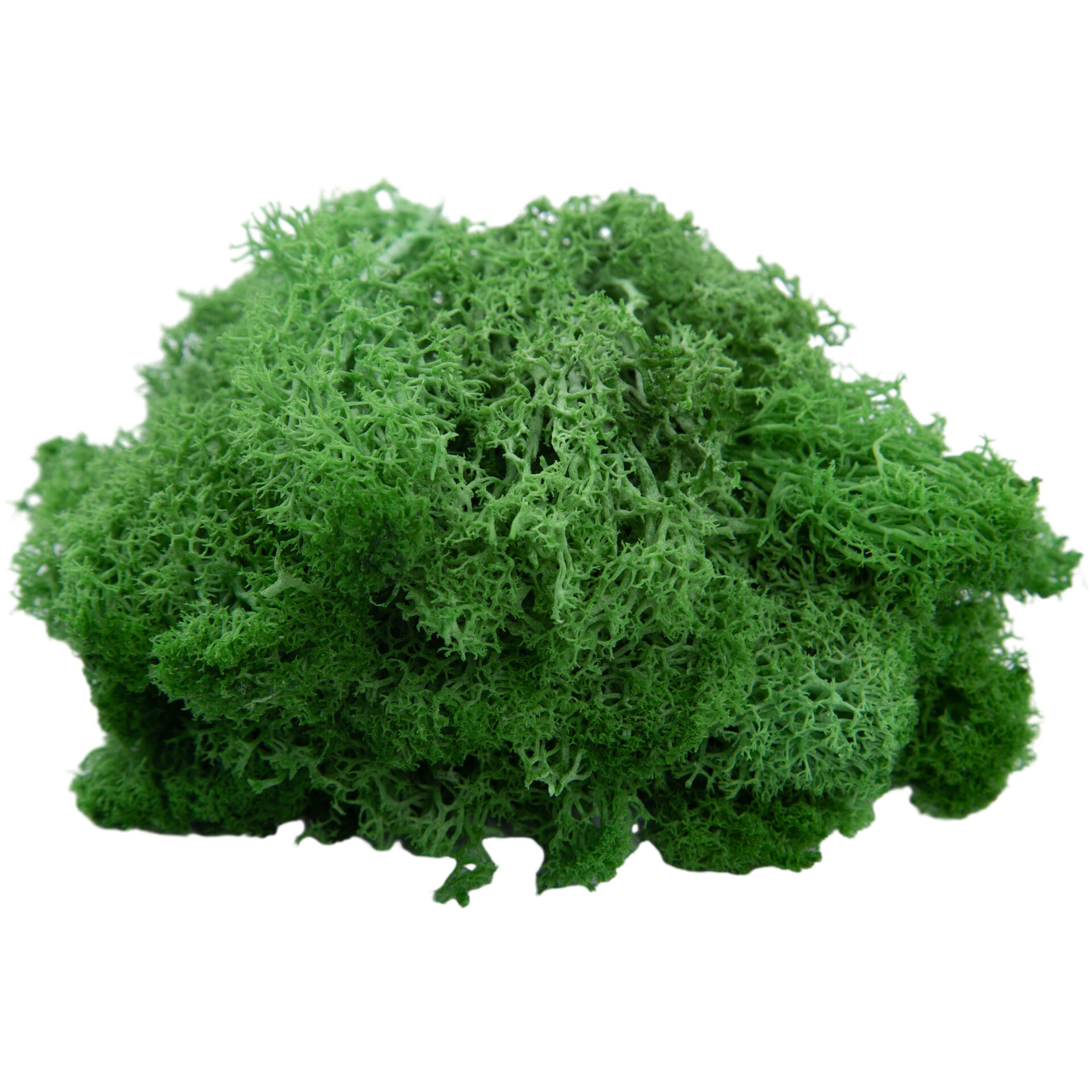 Вечный мох PHILIA, имитация оленьего мха, для стен и упаковки, зеленый, 500г