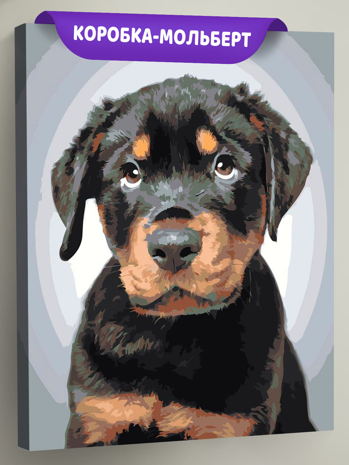 Картина по номерам на холсте с подрамником "Собаки: милый щенок ротвейлер" Раскраска 40x50 см, Животные Детская тематика