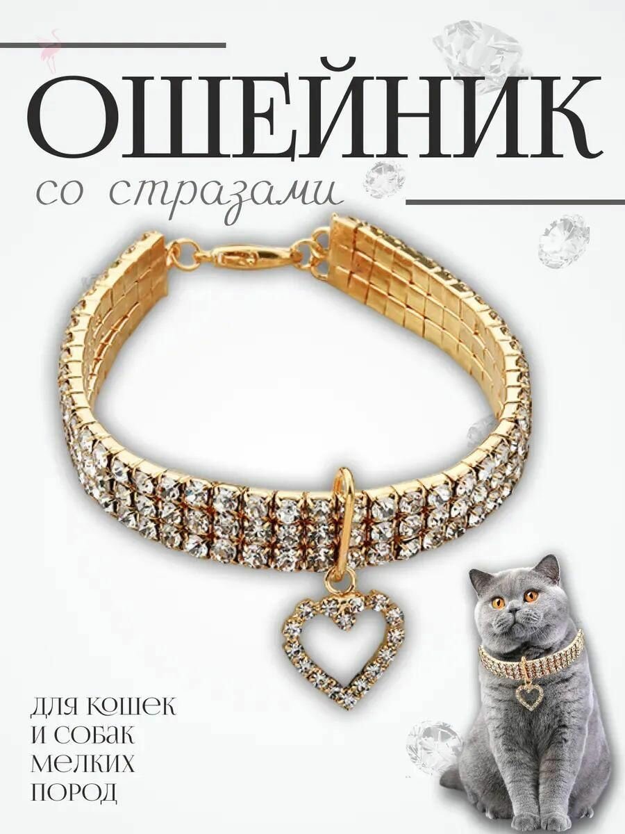 Ошейник "Со стразами", для кошек и собак, золотой, обхват шеи 22-28 см