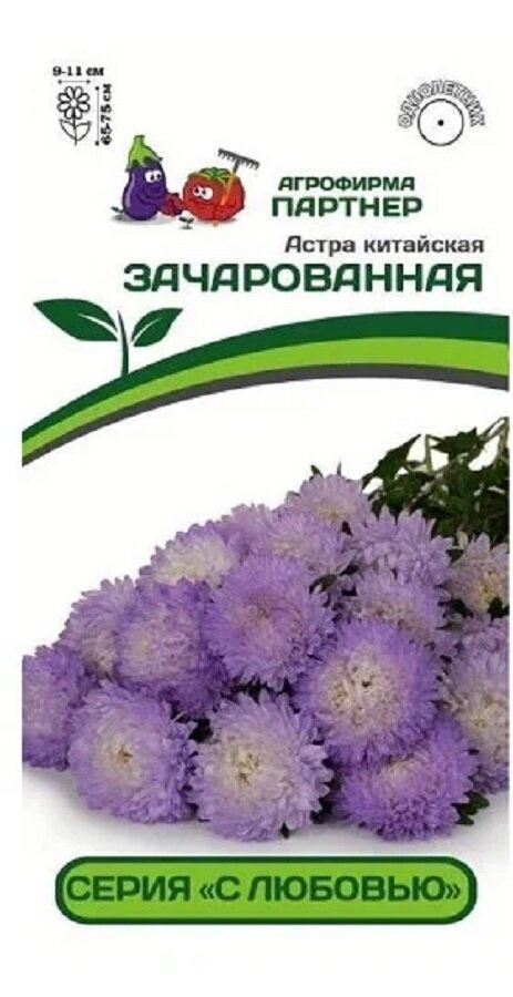 Семена Астра китайская зачарованная ( Агрофирма Партнер), однолетние, 1 упаковка