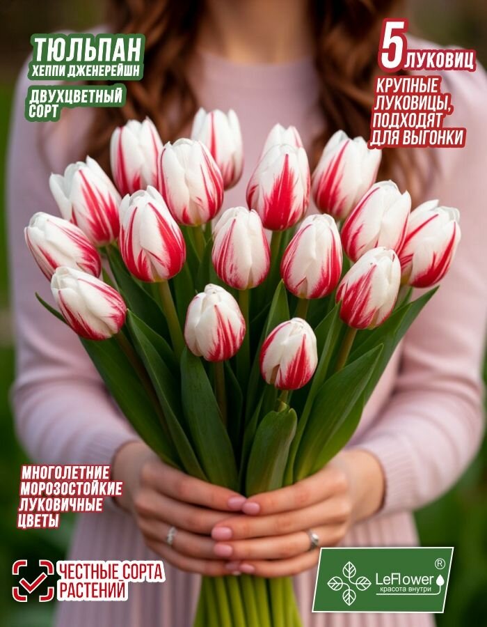 Тюльпан, Хэппи Дженерейшн, 5 шт. крупные