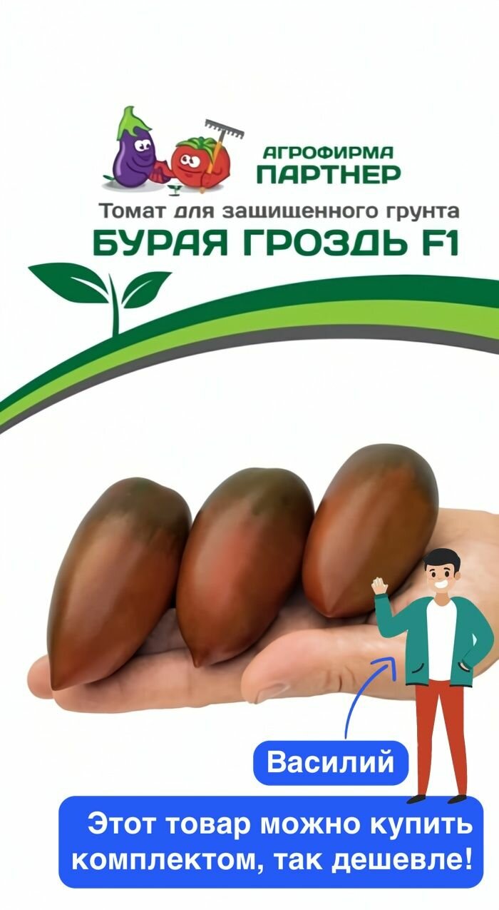 Семена овощей Агрофирма Партнер "Томат Бурая Гроздь", F1