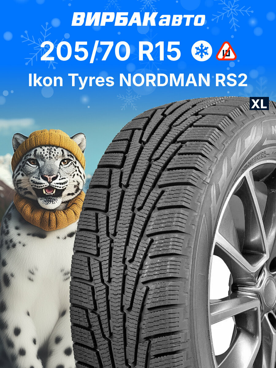 Зимние шины Ikon Nordman RS2 (Character Snow 2) 205/70 R15 100R XL, зимняя автомобильная резина