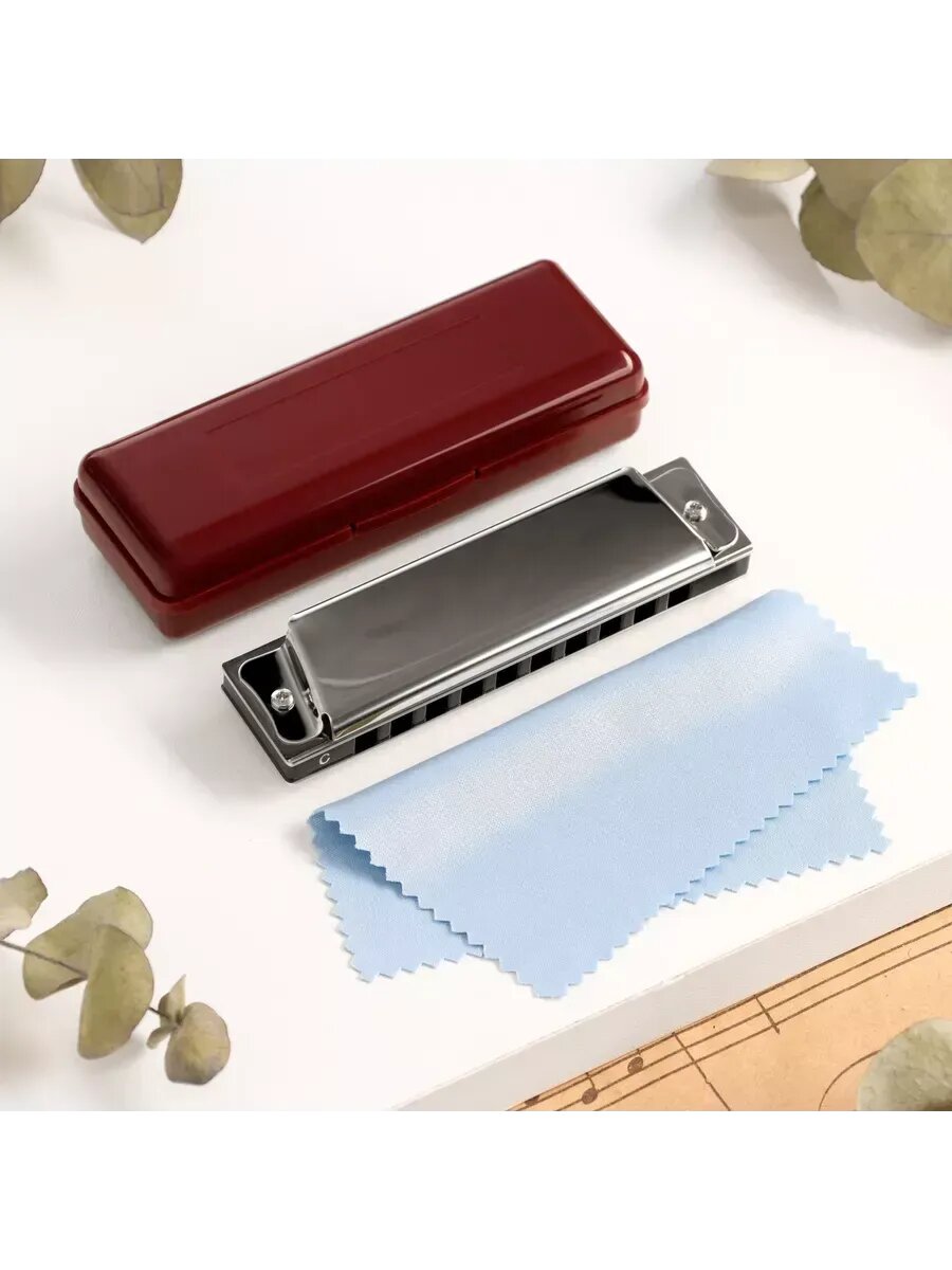 Губная гармошка T10 C