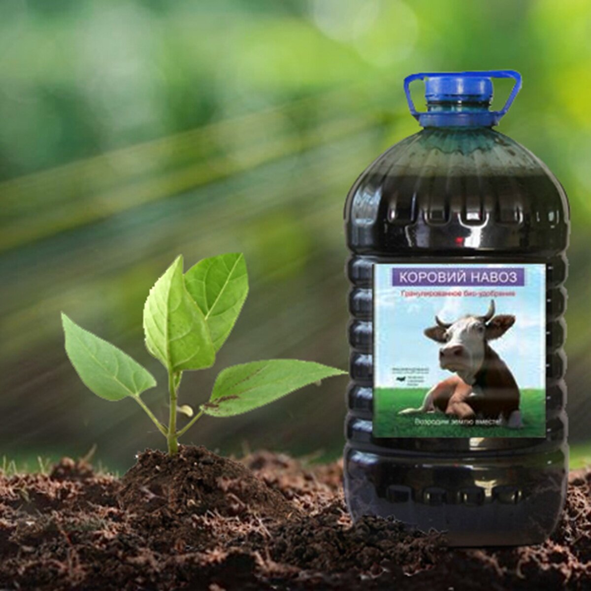 Удобрение концентрированное жидкий коровяк (настой) 5 литров