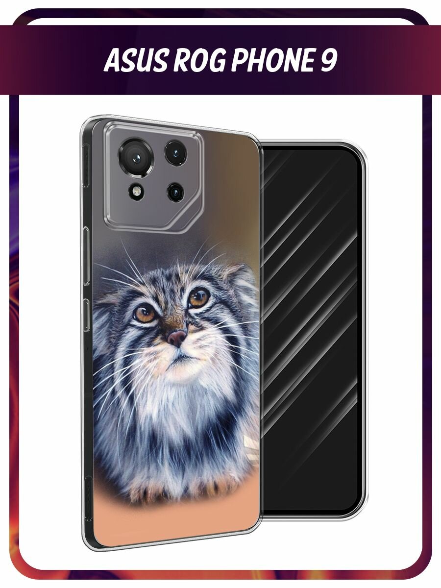 Чехол на Asus ROG Phone 9 / Асус Рог Фон 9 с принтом "Кот манул 2"