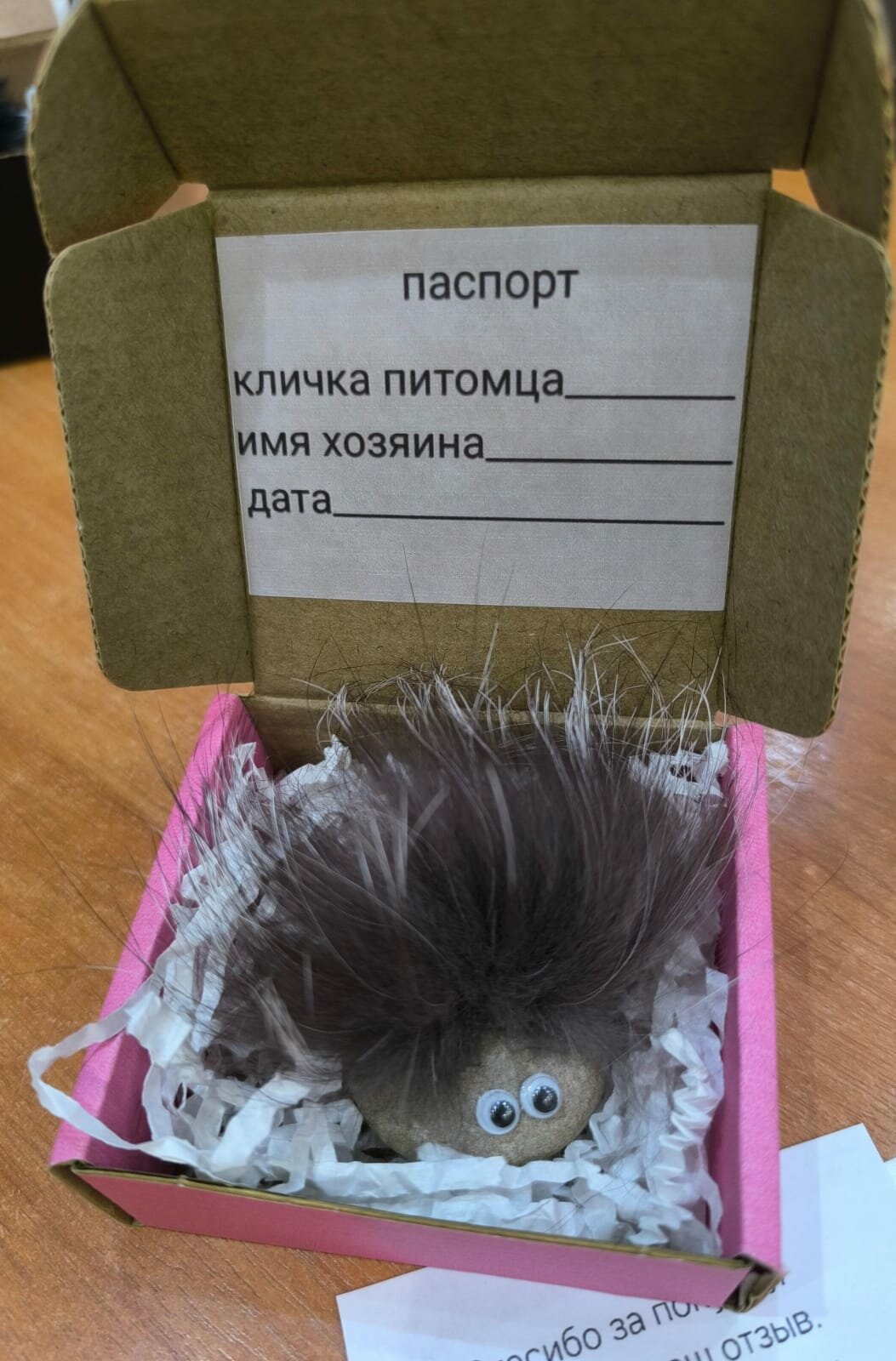 Камень питомец с глазками