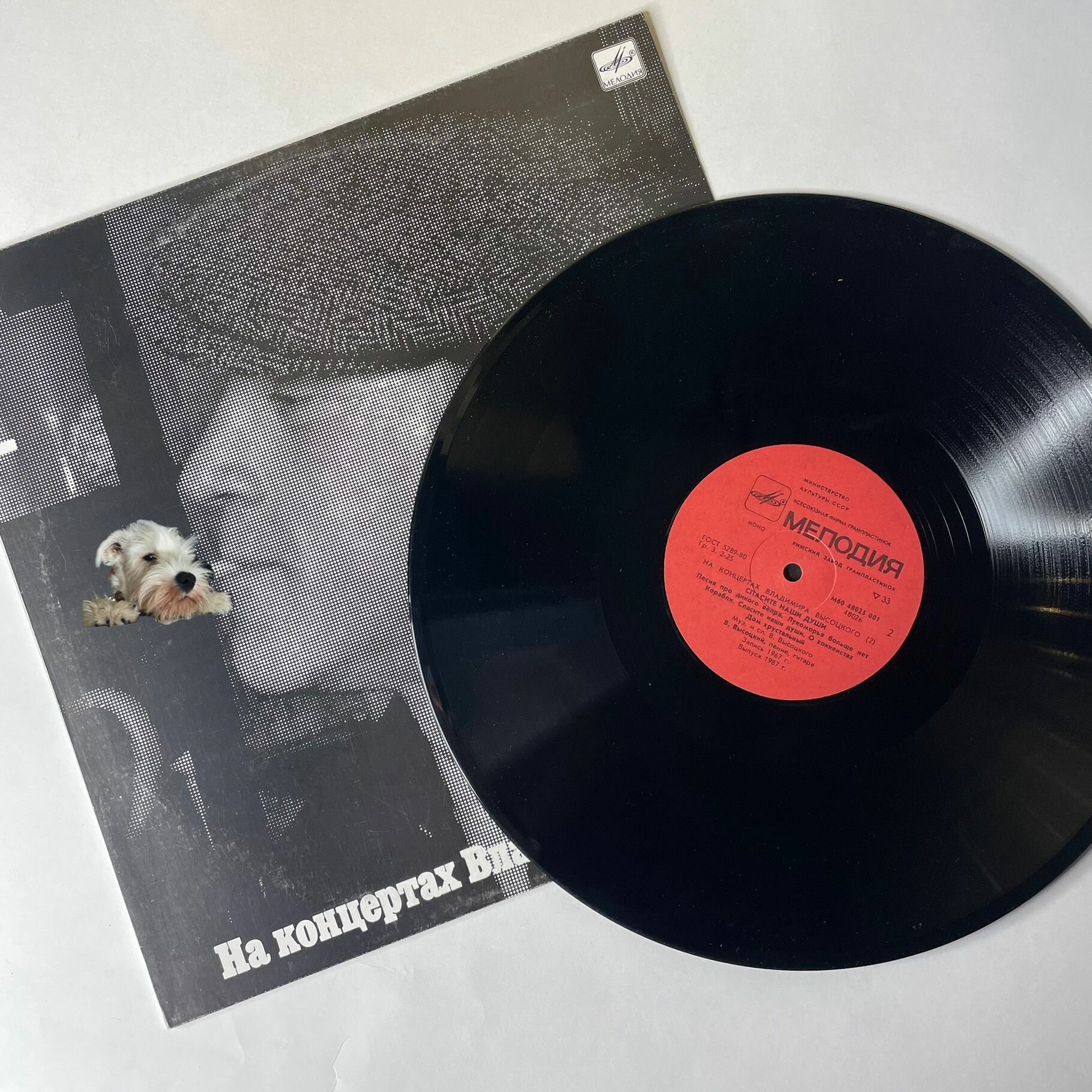 Винтажная виниловая пластинка LP Владимир Высоцкий Спасите Наши Души (СССР 1988) На Концертах Владимира Высоцкого